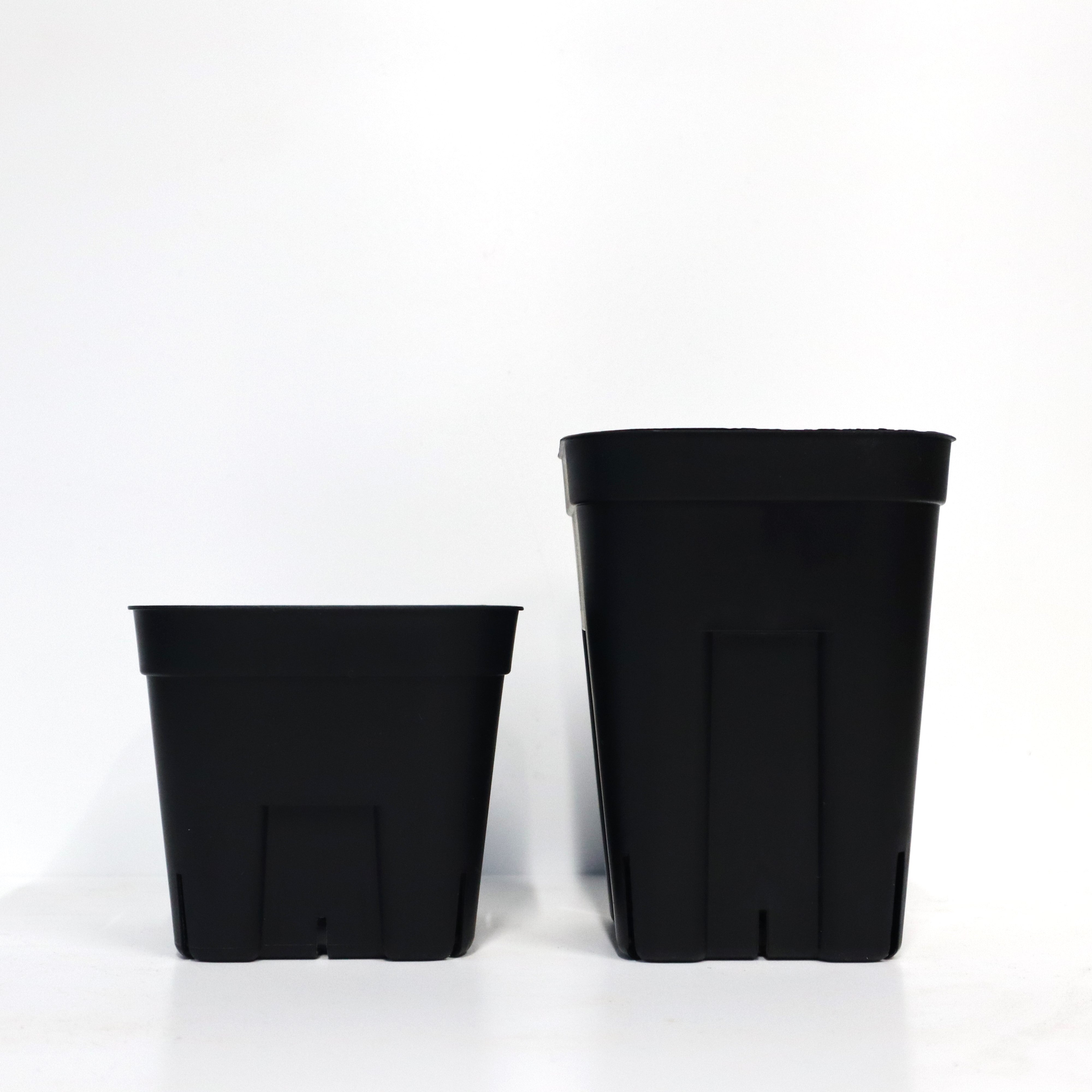 プレステラ 黒シリーズ – TaiShoDo ONLINE SHOP