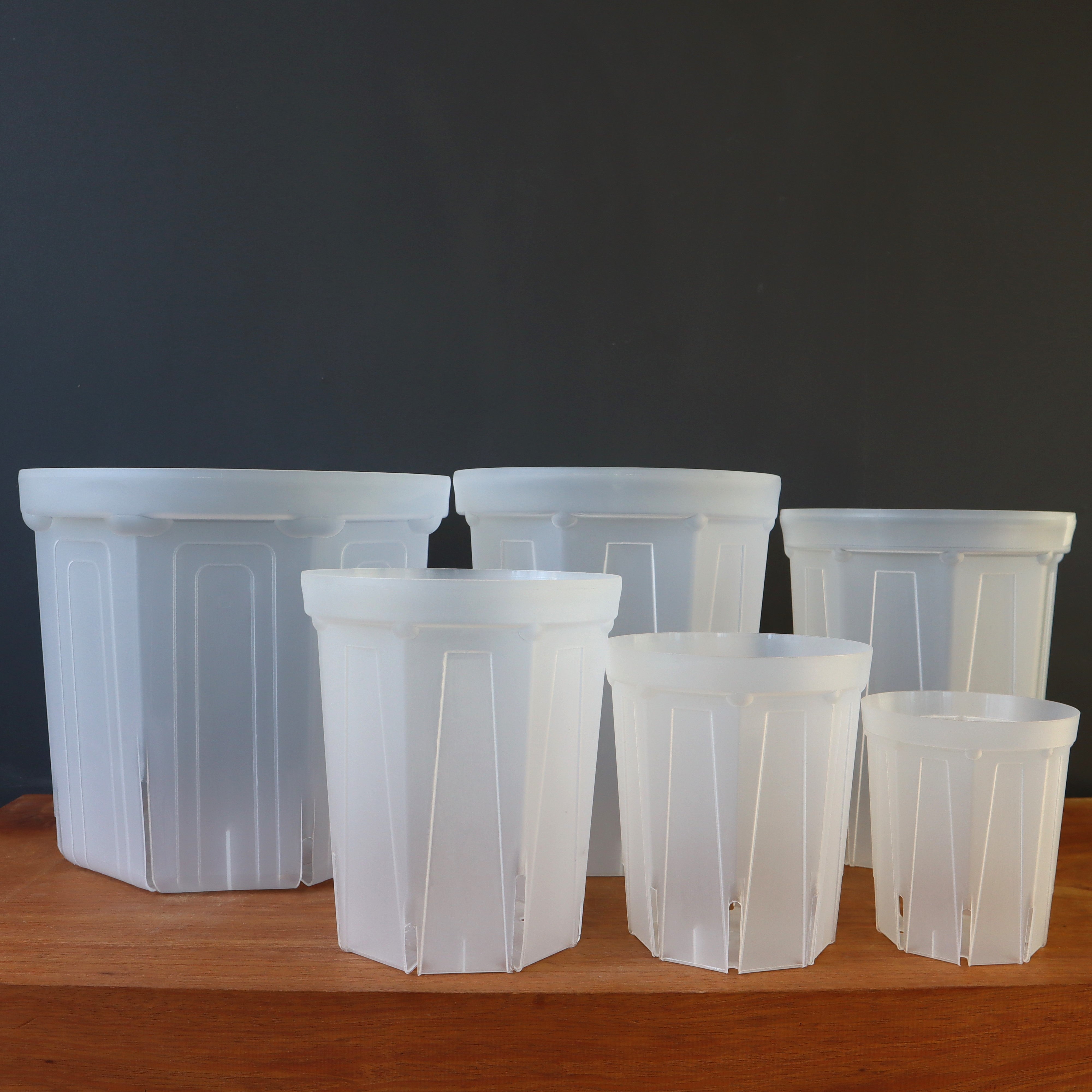 【NEgamieru】 透明スリット鉢 – TaiShoDo ONLINE SHOP
